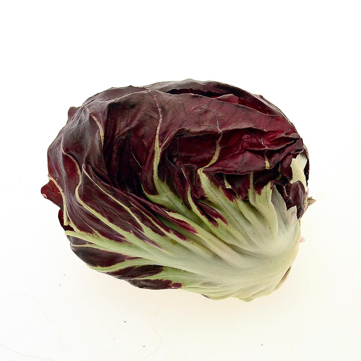 Radicchio 'Palla Rossa' (Cichorium intybus var. foliosum) semi