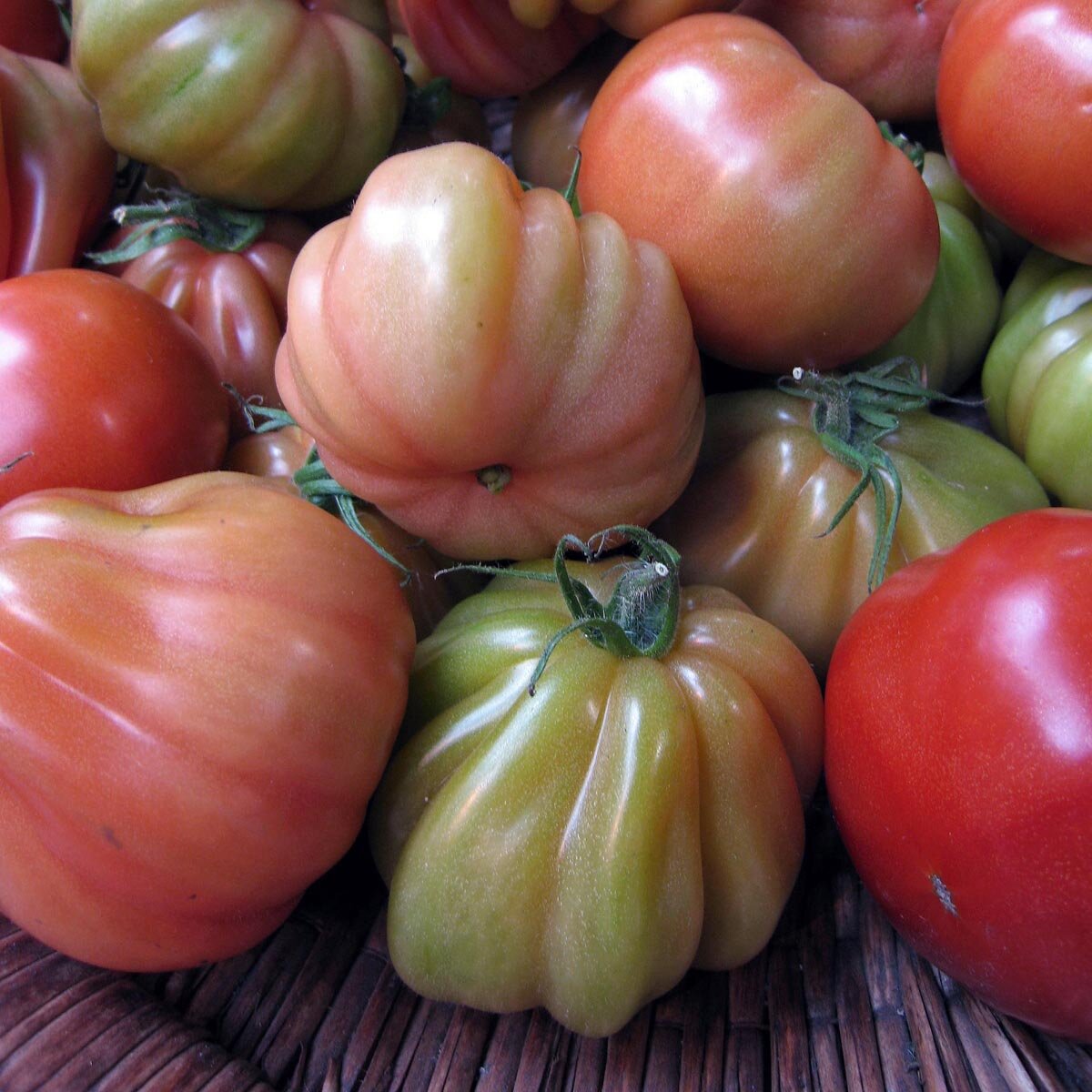Pomodoro 'Cuore di bue' (Solanum lycopersicum) semi