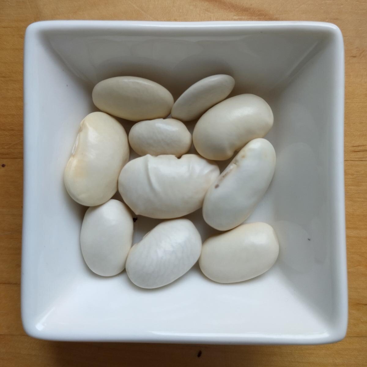 Fasolia 'Gigantes' (Phaseolus coccineus) semi